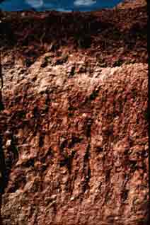 Soil Profile Pictures | Soils at UGA