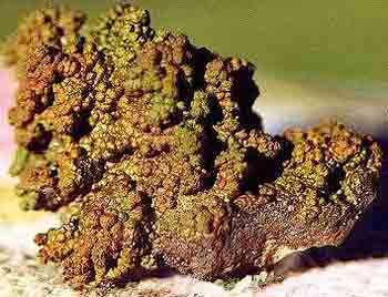 Important Rocks & Minerals | Soils at UGA