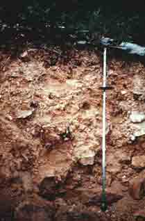 Soil Profile Pictures | Soils at UGA